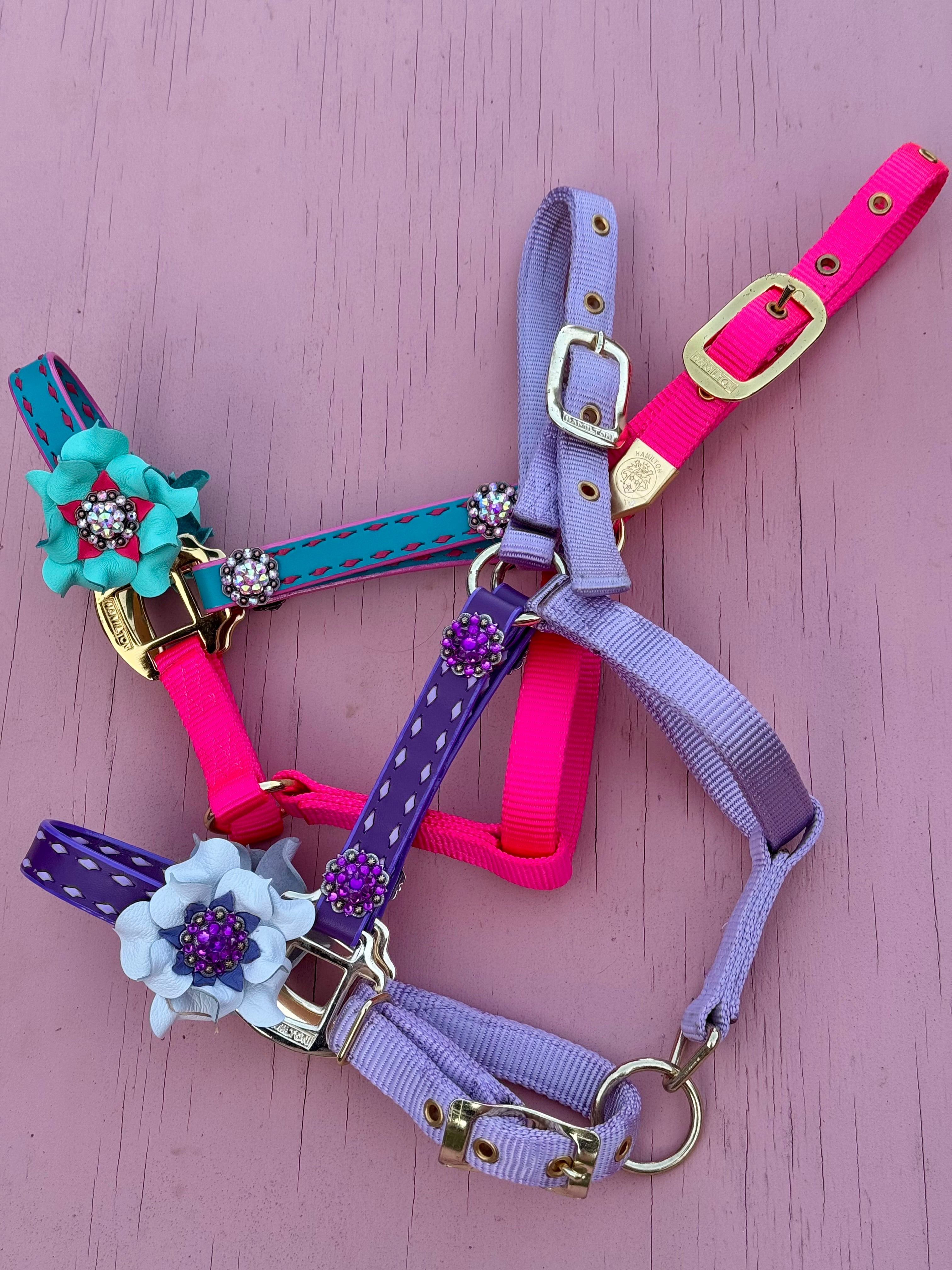 Pony Halters – ThePunchyPosey